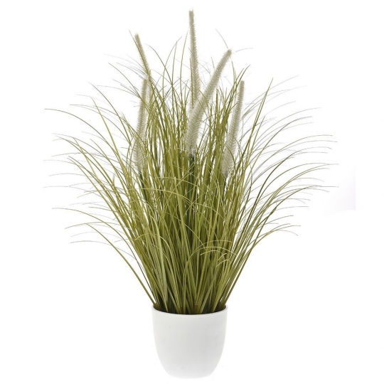 Φυτο Pampas Grass 53Εκ Σε Πλαστικη Γλαστρα 11Χ10Εκ Epilegin